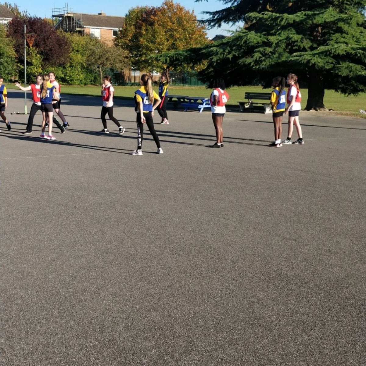 Stopsley Community Primary School - Netball victory